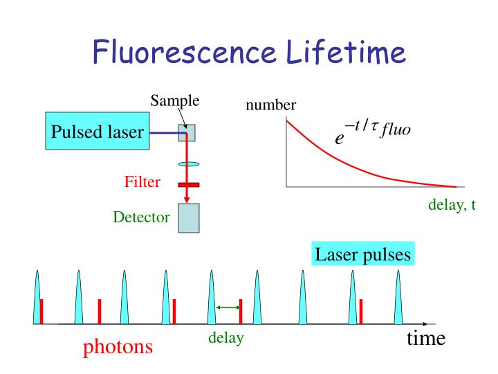 PPT - Fluorescence Resonance Energy Transfer (FRET) PowerPoint ...