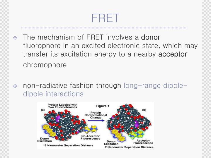 PPT - Fluorescence Resonance Energy Transfer (FRET) PowerPoint ...