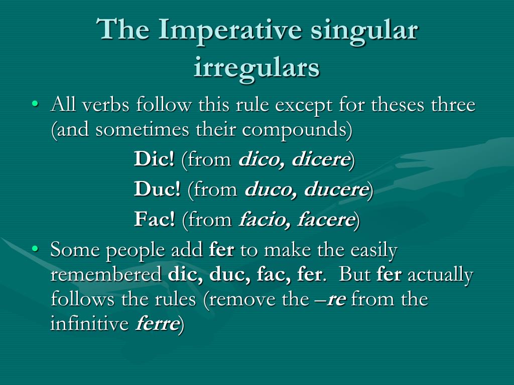 PPT - Imperatives and vocatives PowerPoint Presentation, free download ...