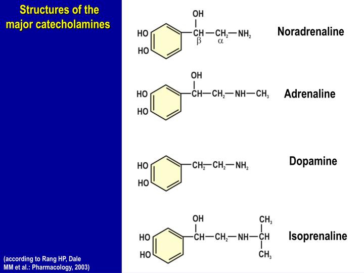 PPT - Adrenergic Agonists and Antagonists PowerPoint Presentation - ID ...