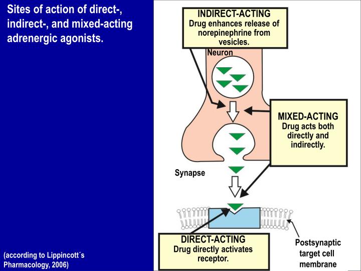 PPT - Adrenergic Agonists and Antagonists PowerPoint Presentation - ID ...