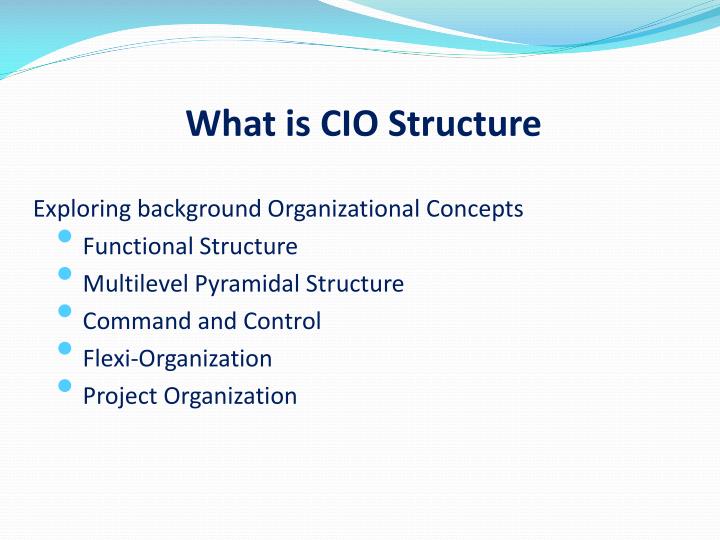 PPT - Chief Information Officers (CIO) PowerPoint Presentation - ID:4452402