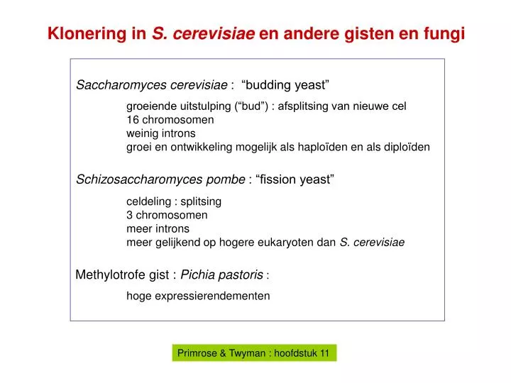 PPT - Saccharomyces cerevisiae : “budding yeast” PowerPoint ...
