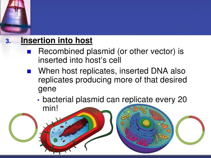 PPT - Genetic Technology PowerPoint Presentation - ID:4453913