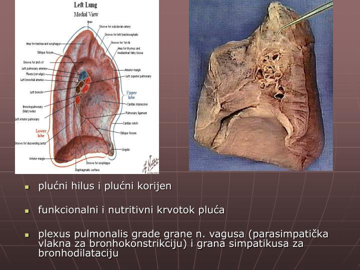 PPT - PRIBOR ZA DISANJE PowerPoint Presentation - ID:4454220