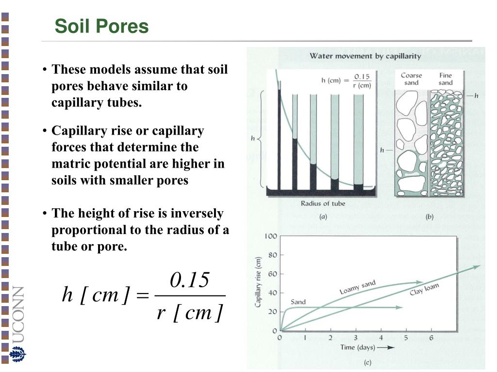 PPT - Soil Matric Potential – Capillarity and More PowerPoint ... PPT - Soil Matric Potential – Capillarity and More PowerPoint ...