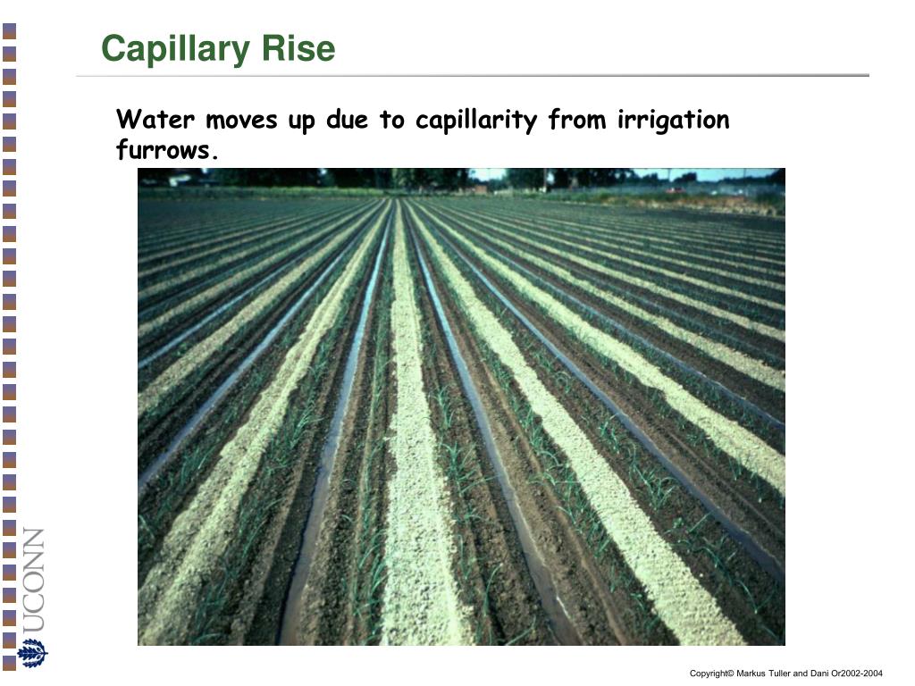 PPT - Soil Matric Potential – Capillarity and More PowerPoint ... PPT - Soil Matric Potential – Capillarity and More PowerPoint ...