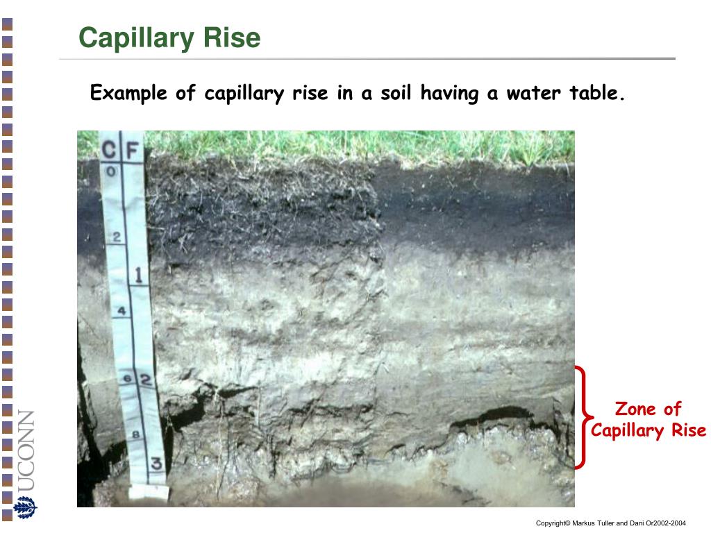 PPT - Soil Matric Potential – Capillarity and More PowerPoint ... PPT - Soil Matric Potential – Capillarity and More PowerPoint ...