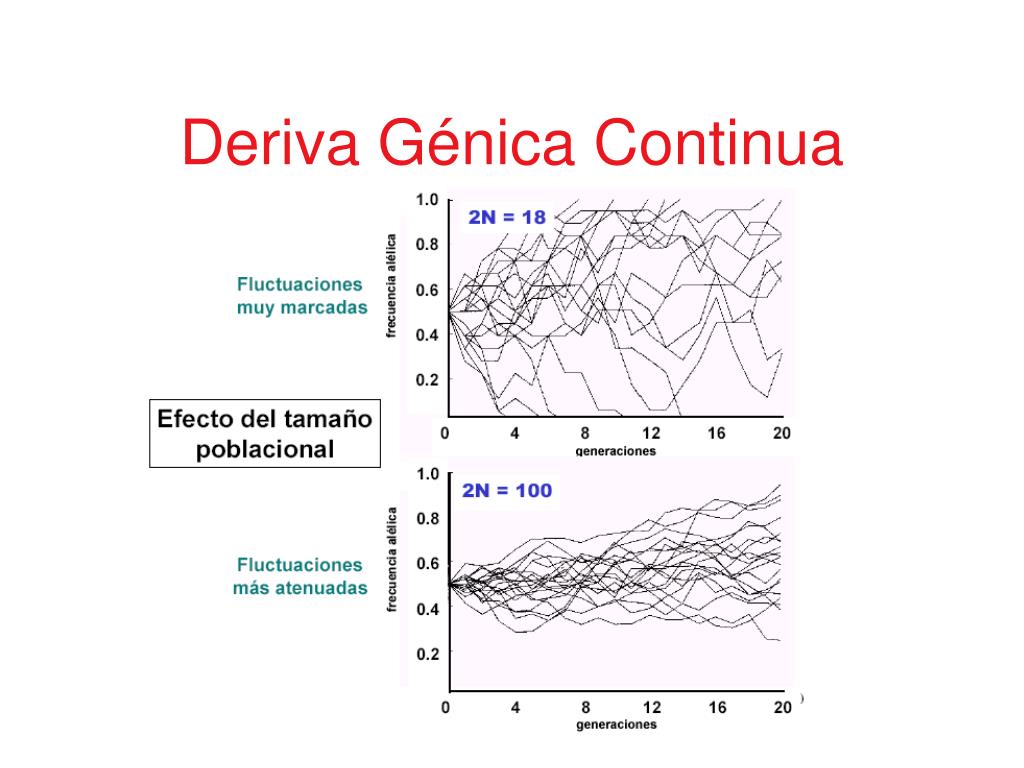 PPT - Qué es la Genética de Poblaciones? PowerPoint Presentation, free ...