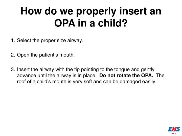 PPT - Airway Management PowerPoint Presentation - ID:4456837