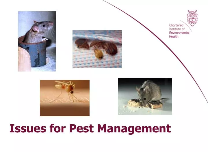 PPT - Issues for Pest Management PowerPoint Presentation, free download ...