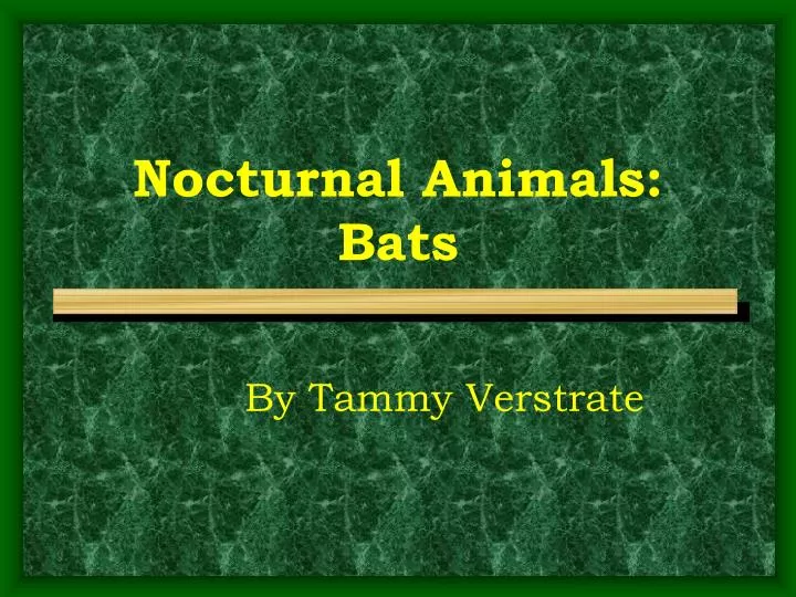 PPT - Nocturnal Animals: Bats PowerPoint Presentation, free download ...