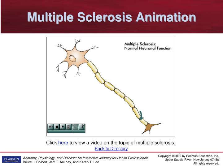 PPT - Chapter 9 The Nervous System: The Body's Control Center ...