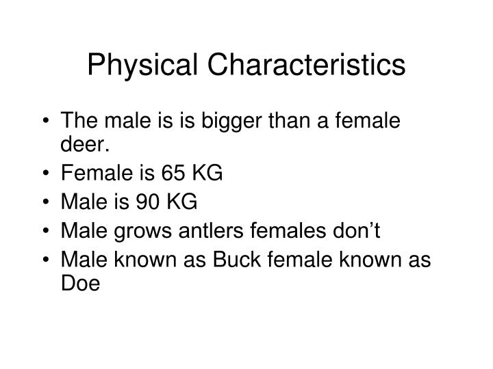 PPT - White Tail Deer PowerPoint Presentation - ID:4458253