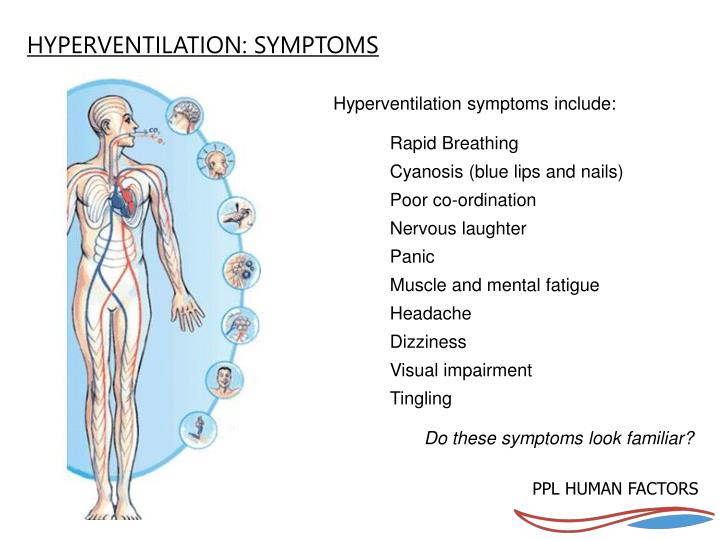 PPT - HUMAN PERFORMANCE AND LIMITATIONS I PowerPoint Presentation - ID ...
