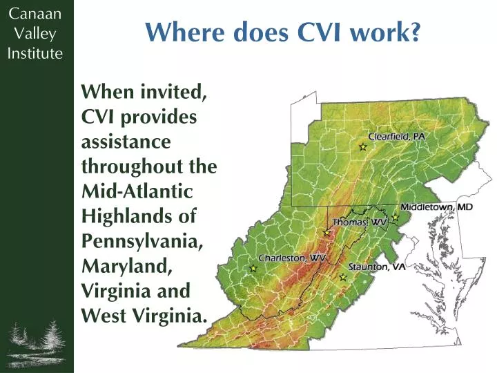 PPT - Where does CVI work? PowerPoint Presentation, free download - ID ...
