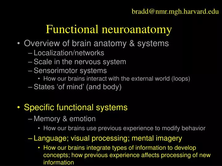 PPT - Functional neuroanatomy PowerPoint Presentation, free download ...