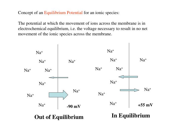 PPT - Origins of Membrane Potential in Cells PowerPoint Presentation ...