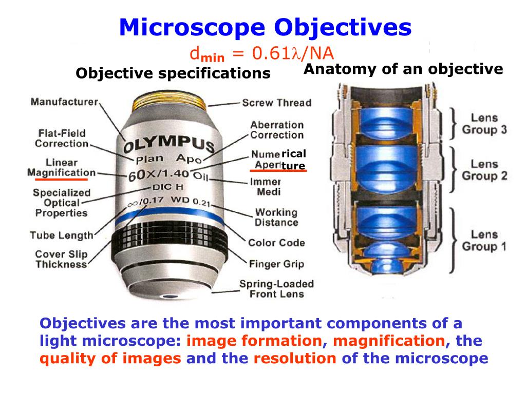 Ppt Optical Microscopy Powerpoint Presentation Free Download Id