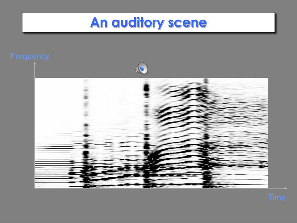PPT - The Mind’s Ear How the Brain Listens to What the Ear Hears ...
