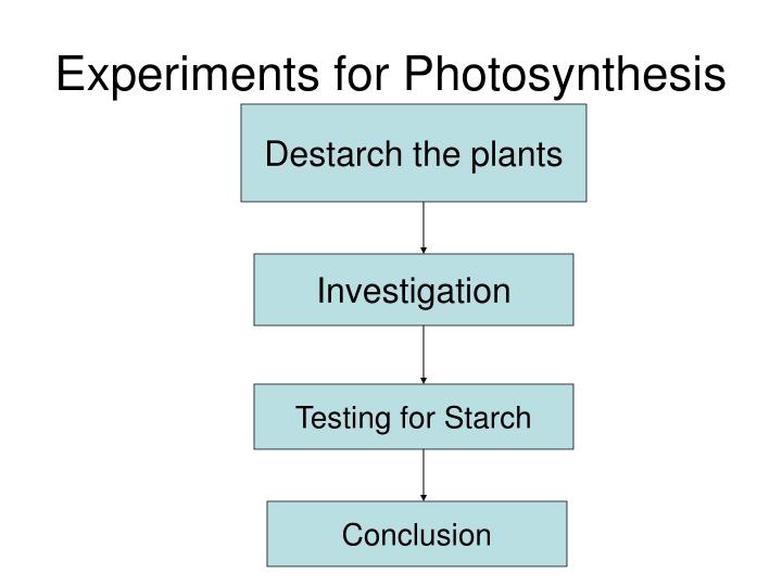 PPT - Photosynthesis PowerPoint Presentation - ID:4466457