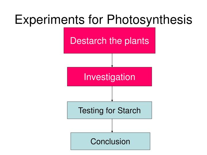 PPT - Photosynthesis PowerPoint Presentation - ID:4466457