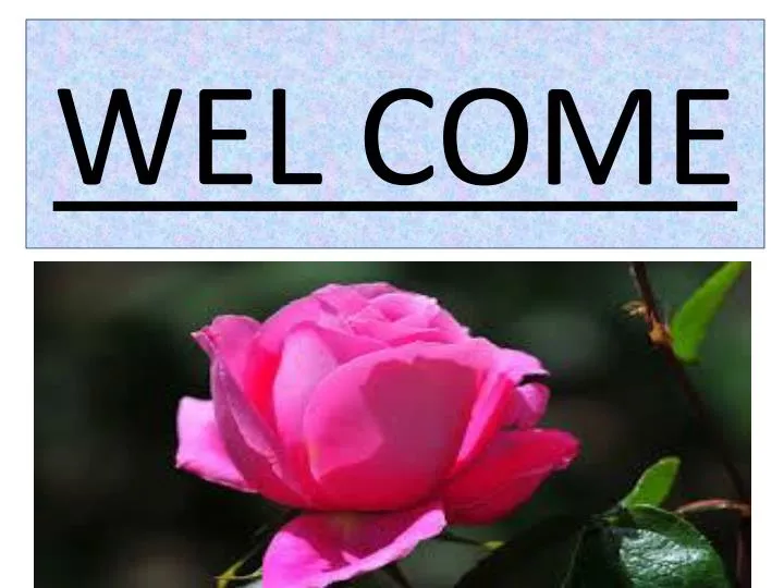 PPT - WEL COME PowerPoint Presentation, free download - ID:4467146