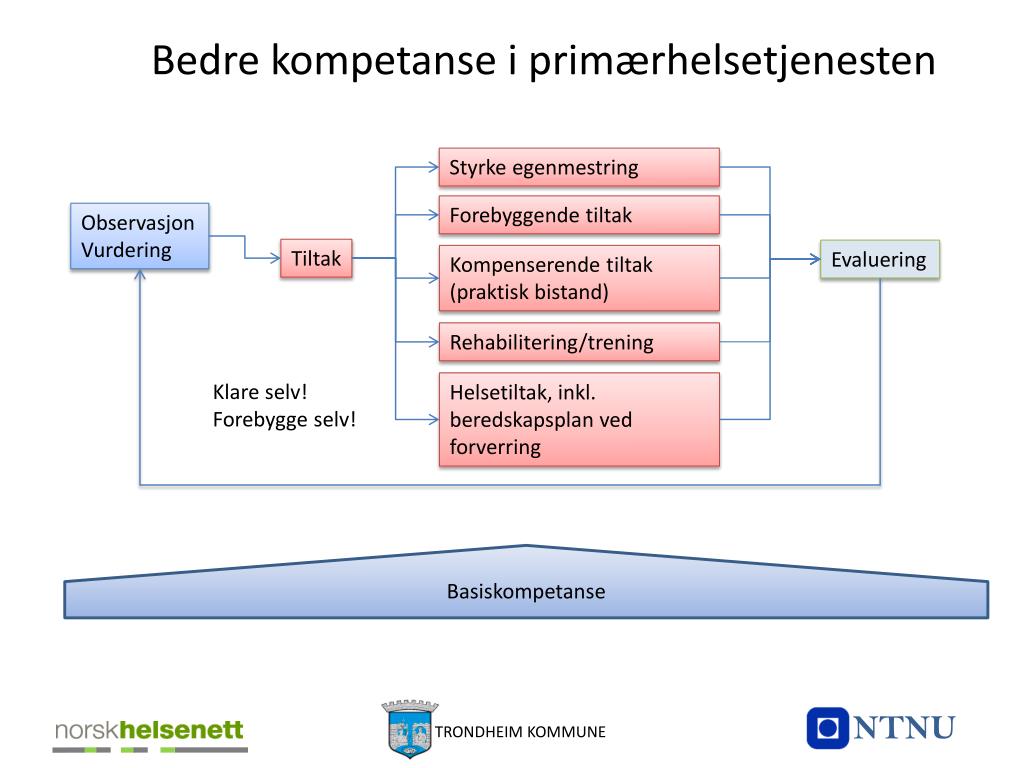 PPT - Pasientforløp . Hvordan gjøre de til et nyttig redskap for primærhelsetjenesten ...