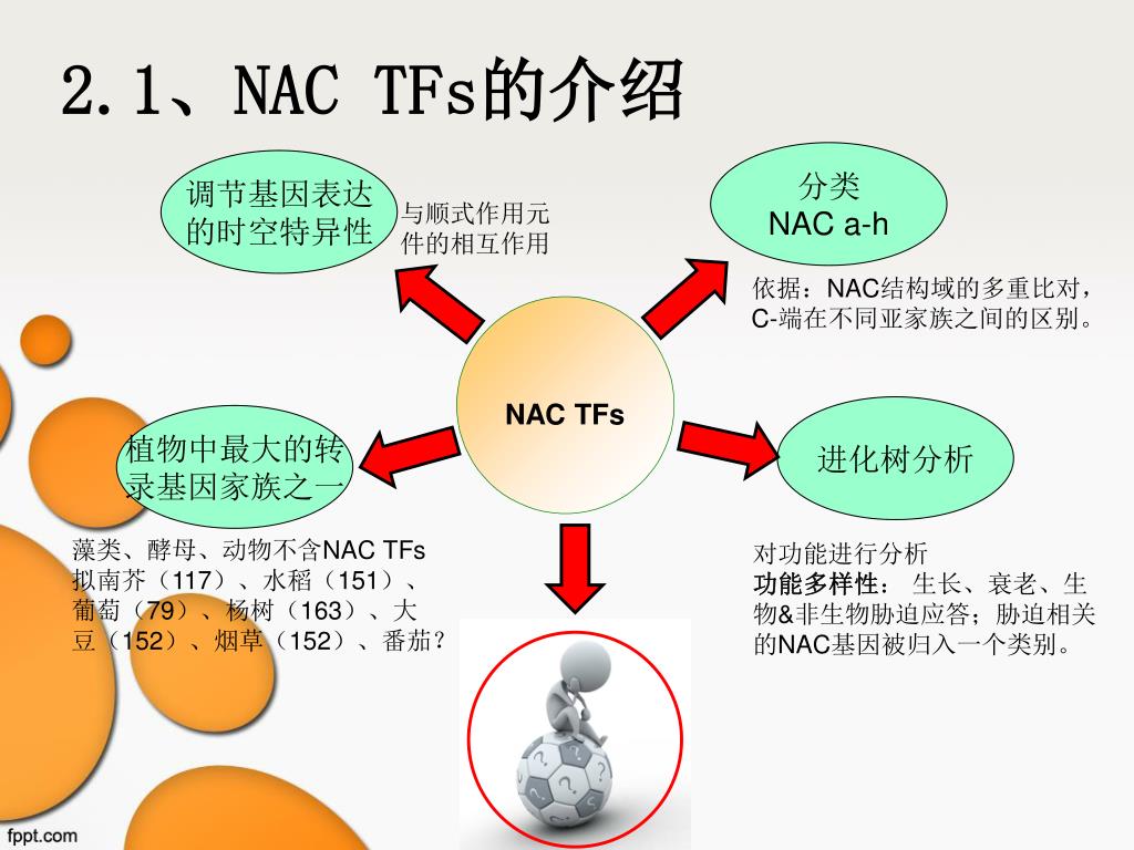 PPT - NAC proteins:regulation and role in stress tolerance PowerPoint ...