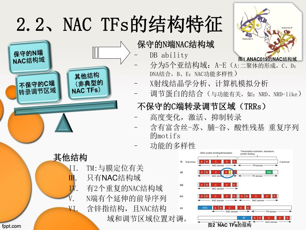 PPT - NAC proteins:regulation and role in stress tolerance PowerPoint ...