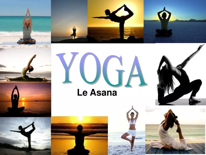 PPT - Le Asana PowerPoint Presentation, free download - ID:4469745