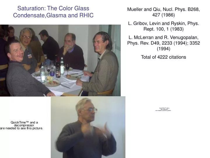 PPT - Saturation: The Color Glass Condensate,Glasma and RHIC PowerPoint ...