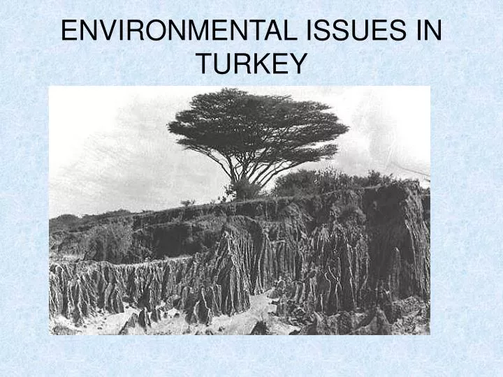 PPT - ENVIRONMENTAL ISSUES IN TURKEY PowerPoint Presentation, free ...
