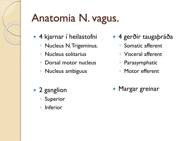 PPT - Nervus vagus PowerPoint Presentation - ID:4470389