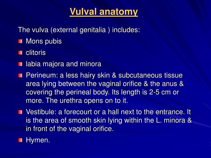 Normal Vulvar Anatomy
