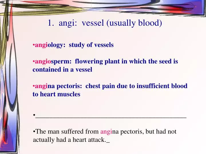 PPT - 1. angi: vessel (usually blood) PowerPoint Presentation, free ...