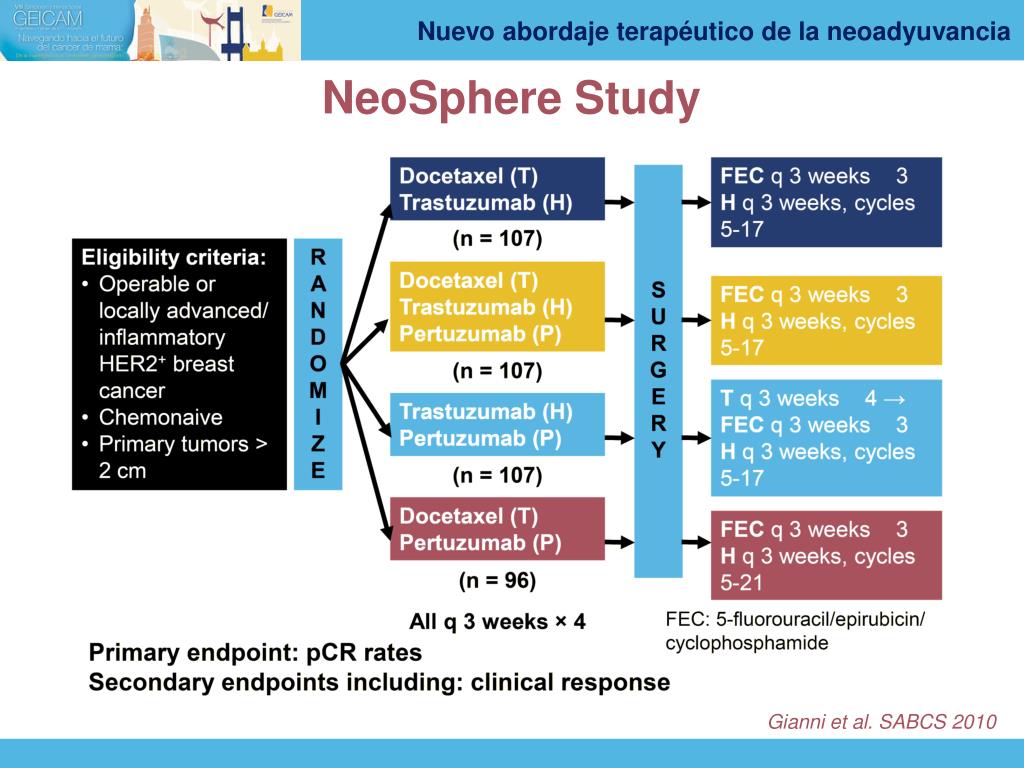 PPT - PERSPECTIVAS ACTUALES Y FUTURAS EN EL MANEJO DEL CÁNCER DE MAMA ...
