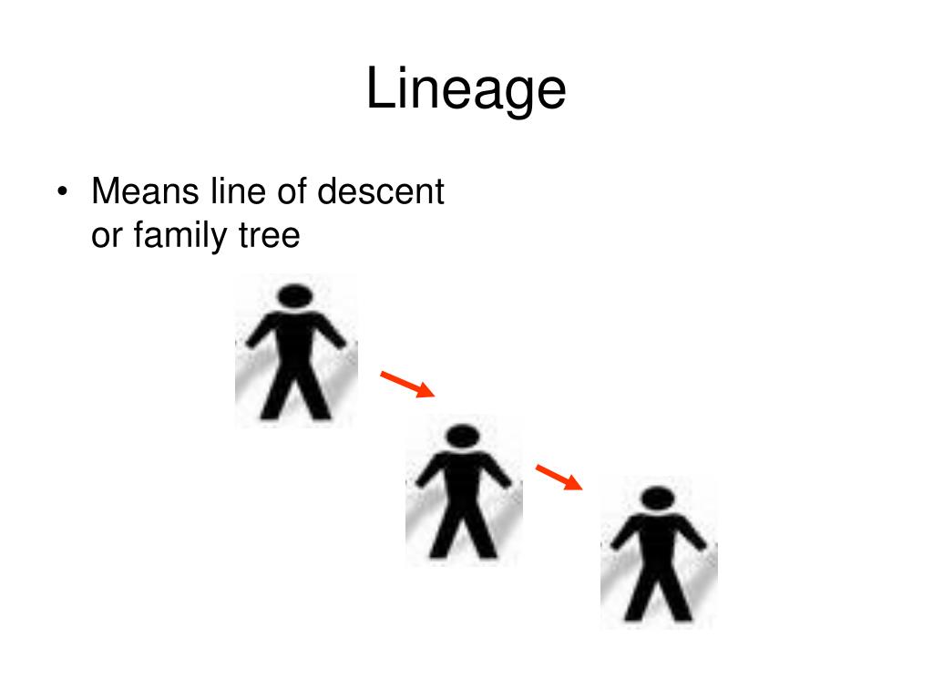 PPT - Traditional African Society PowerPoint Presentation, free ...