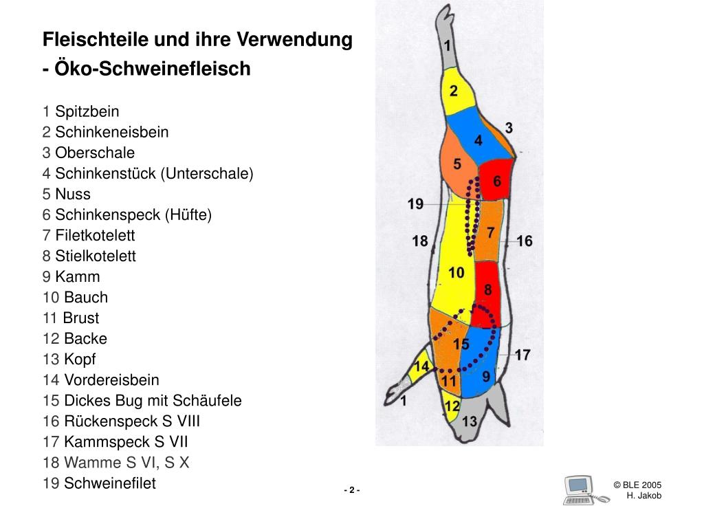 PPT - Fleischteile der Schlachttiere und ihre Verwendung - Öko ...