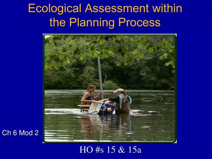 PPT - Ecological Assessment within the Planning Process PowerPoint ...