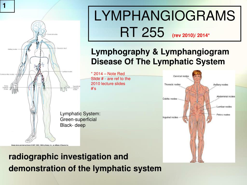 PPT - LYMPHANGIOGRAMS RT 255 (rev 2010)/ 2014* PowerPoint Presentation ...