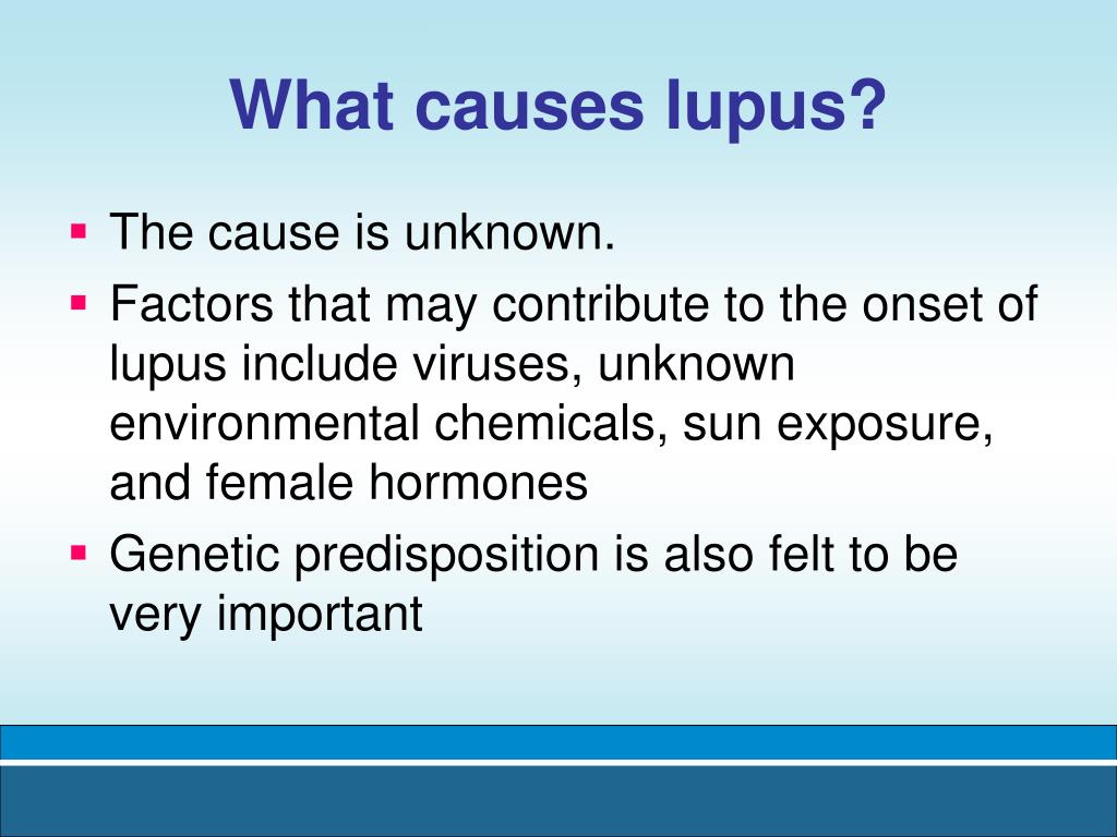 PPT - Lupus: Symptoms, Diagnosis and Treatment PowerPoint Presentation ... PPT - Lupus: Symptoms, Diagnosis and Treatment PowerPoint Presentation ...