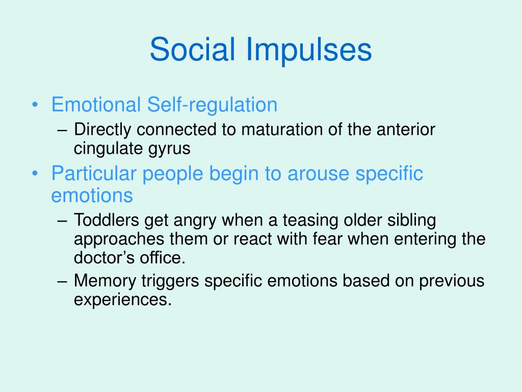 PPT - Invitation to the Life Span by Kathleen Stassen Berger PowerPoint ...