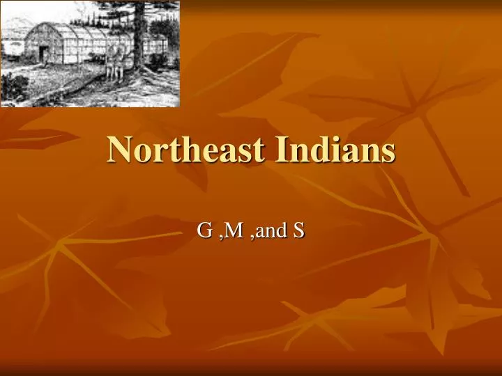 PPT - Northeast Indians PowerPoint Presentation, free download - ID:4478324