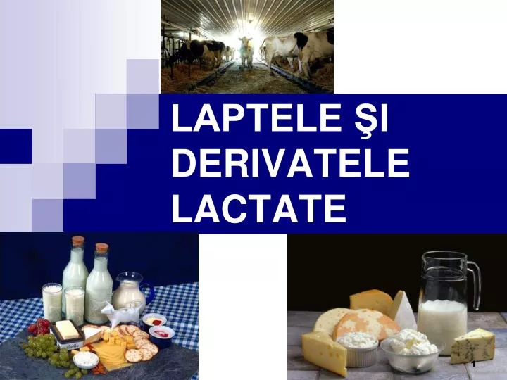 PPT - LAPTELE ŞI DERIVATELE LACTATE PowerPoint Presentation, free ...
