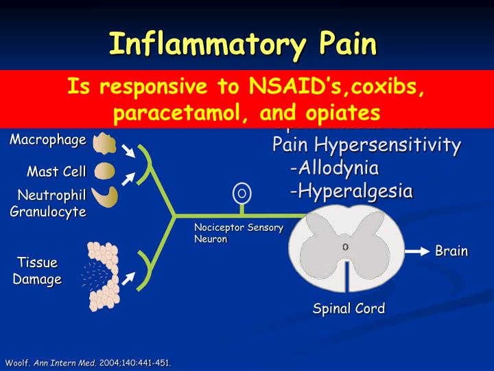 PPT - A New Molecule for Post Operative Pain Management PowerPoint ...