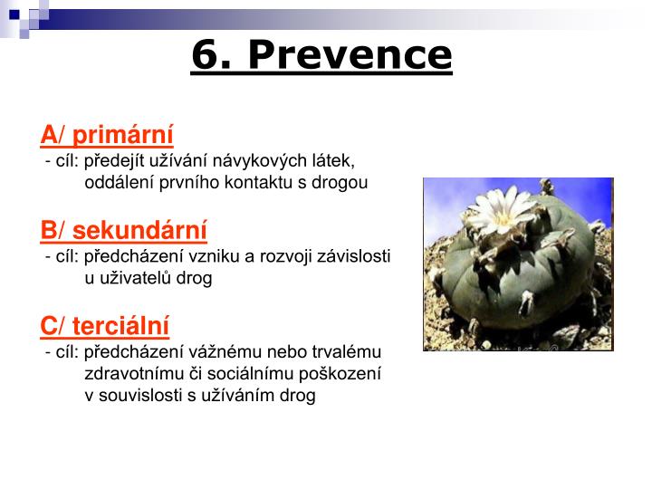 PPT - Drogová závislost PowerPoint Presentation - ID:4481439