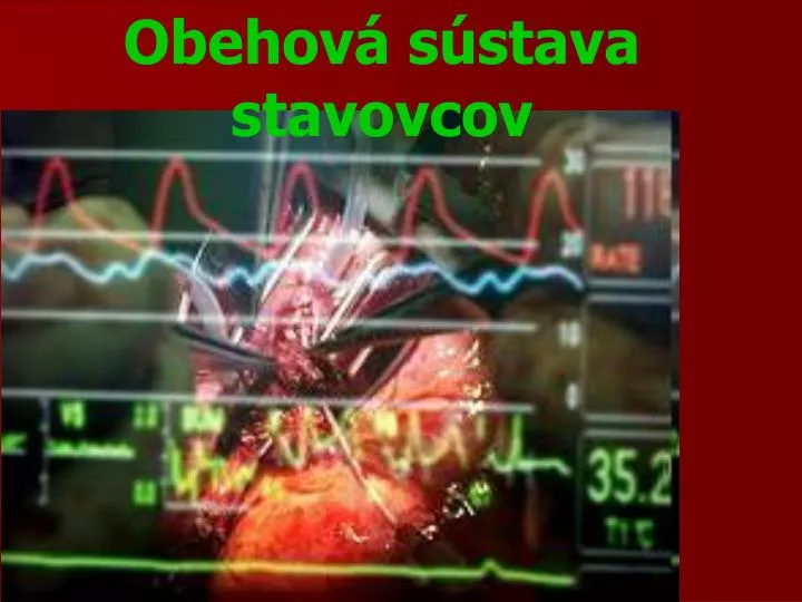 PPT - Obehová sústava stavovcov PowerPoint Presentation, free download - ID:4482502