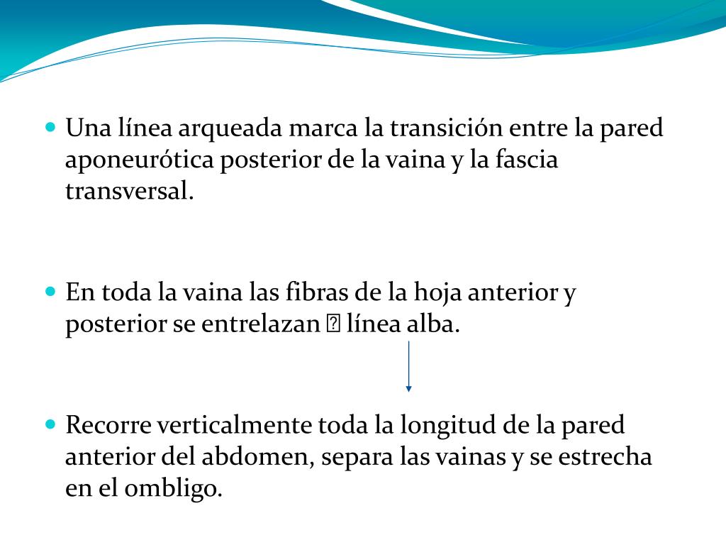 PPT - ABDOMEN: PAREDES, CAVIDADES Y PLANOS PowerPoint Presentation ...
