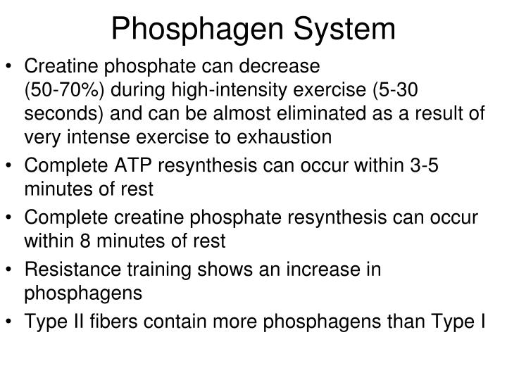 PPT - Bioenergetics of Exercise and Training PowerPoint Presentation ...